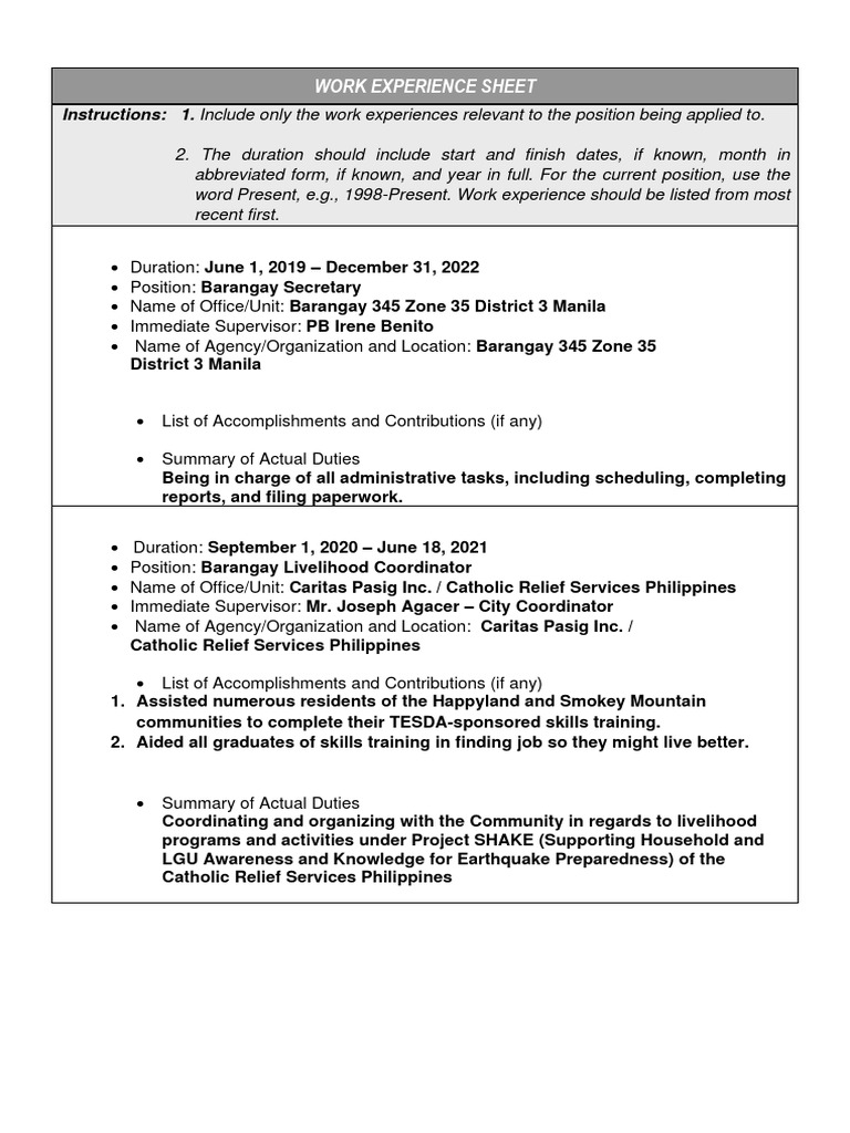 Work Experience Sheet | PDF