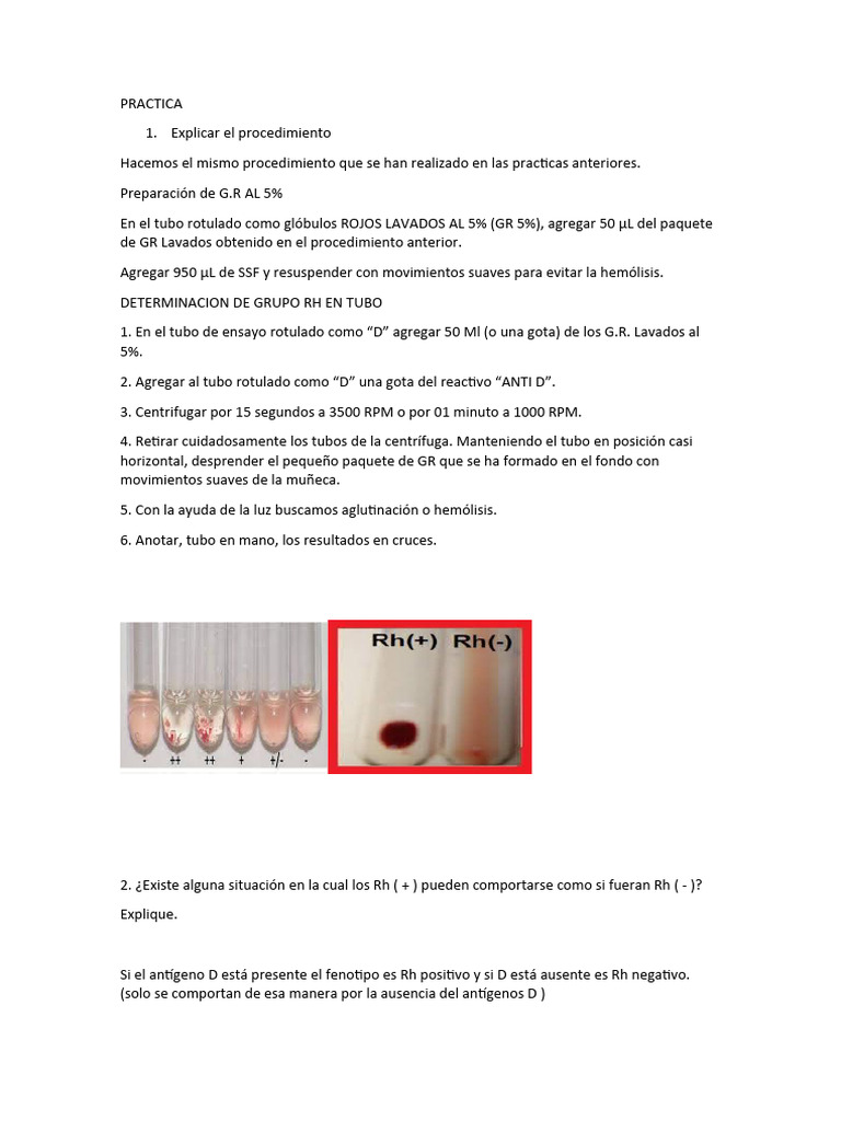 PRACTICA rh | PDF | Fluidos corporales | Tejido (biología)