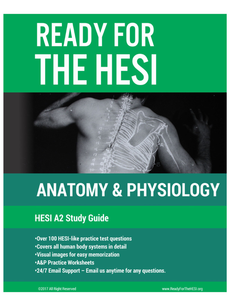 HESI A2 Anatomy Study Guide | PDF | Anatomical Terms Of Location ...