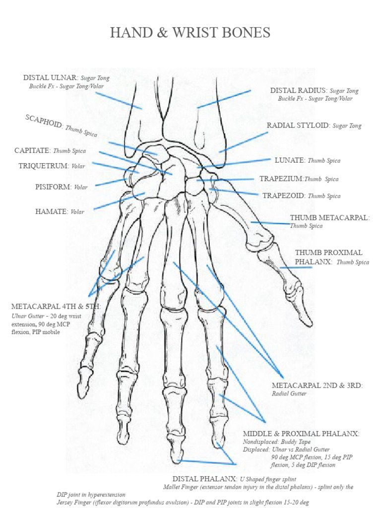 Splinting Guide Hand & Wrist | PDF | Thumb | Hand