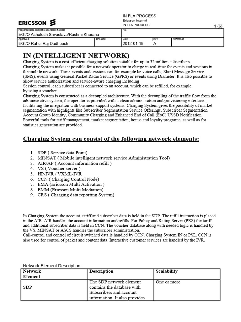 In Fla Process Document | PDF | Service Industries | Computing