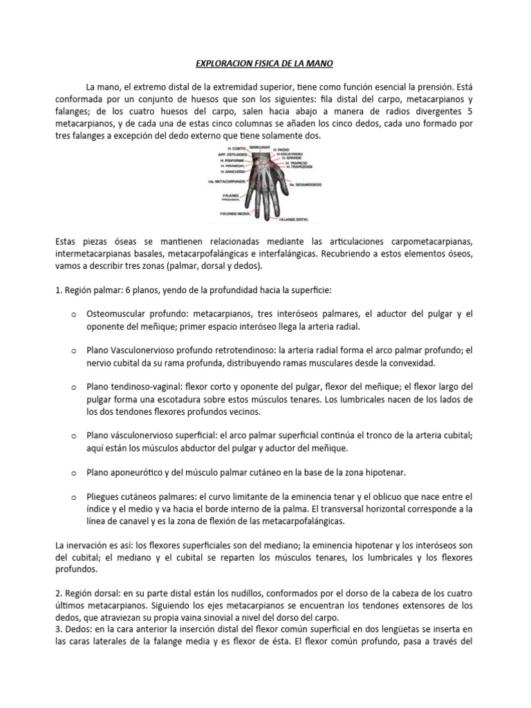 Exploracion Fisica de La Mano | PDF | Mano | Extremidades (anatomía)
