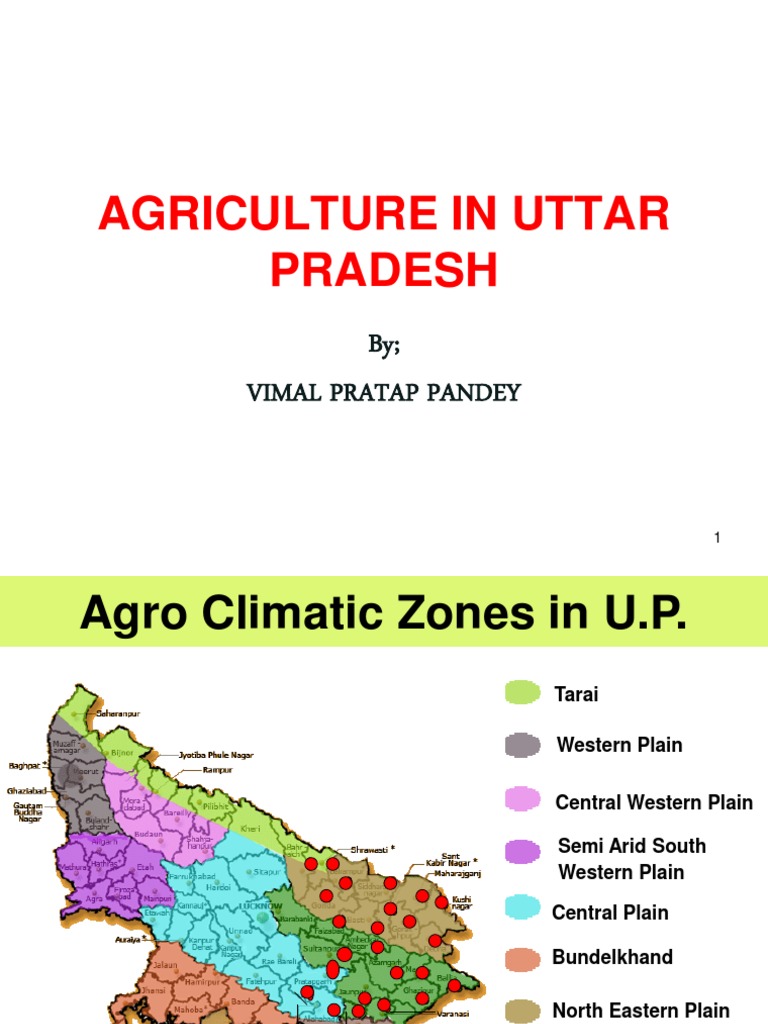 Uttar Pradesh | PDF | Rice | Green Revolution