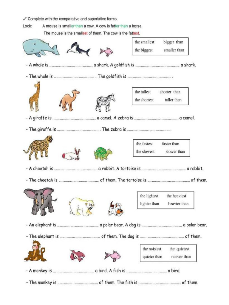 Comp VS Superla | PDF