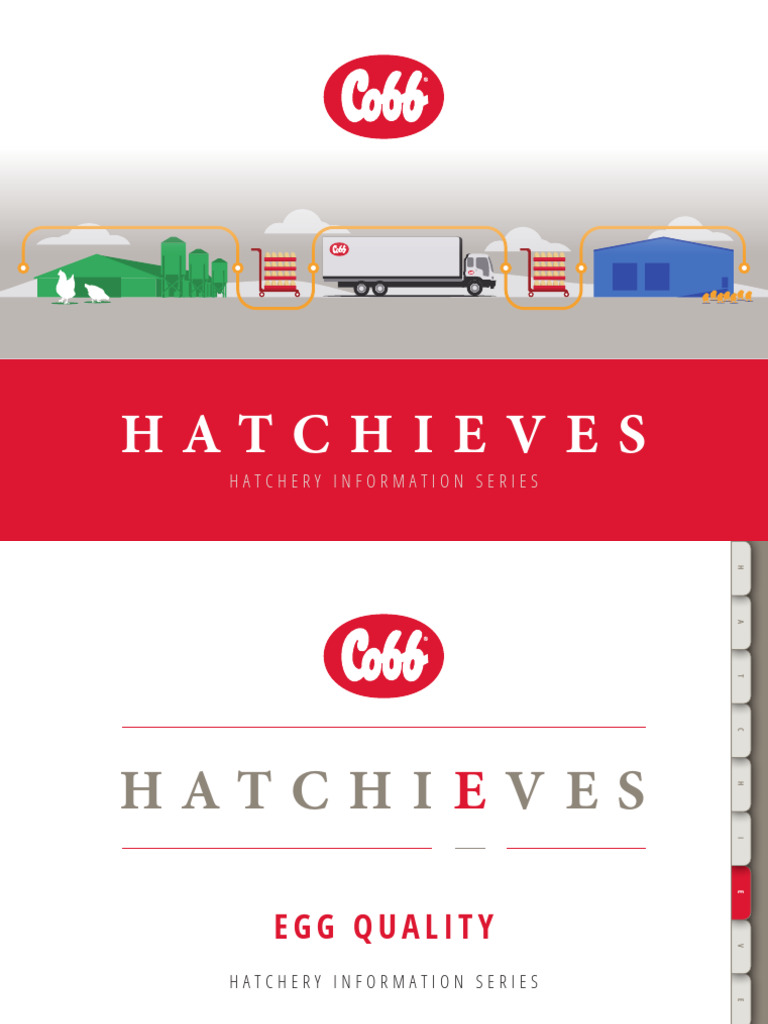 Flipbook With Notes | PDF | Egg | Ventilation (Architecture)