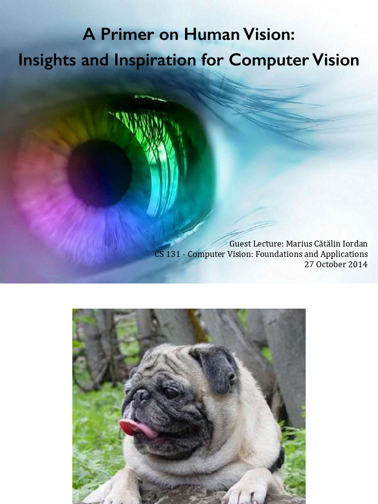 Lec-10-27 v2 Compressed | PDF | Visual System | Visual Cortex