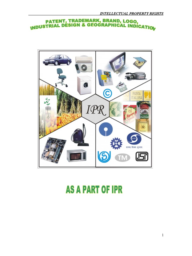 IPR Act | PDF | Patent Application | Patent