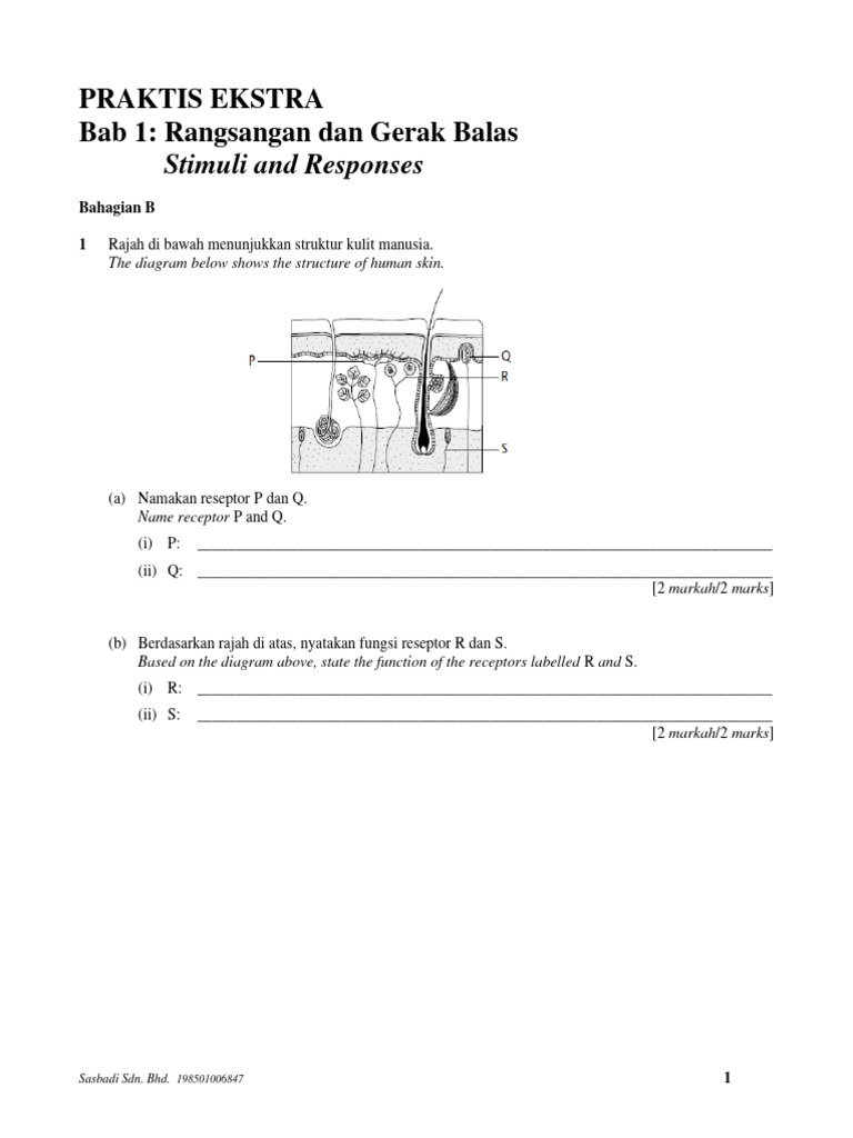 Praktis Ekstra Bab 1 | PDF