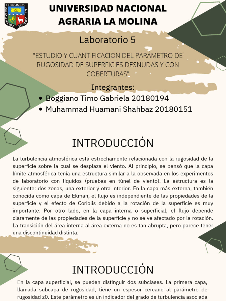 Informe 5 | PDF | Herida | Turbulencia