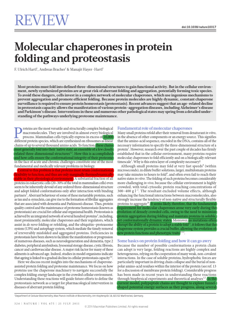 Molecular Chaperones and Proteostasis | PDF | Protein Folding ...