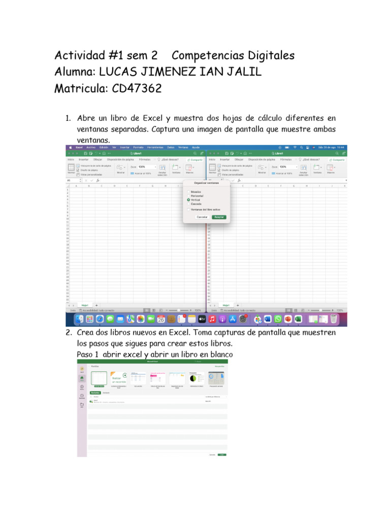 Actividad #1 Sem 2 Competencias Digitales | PDF