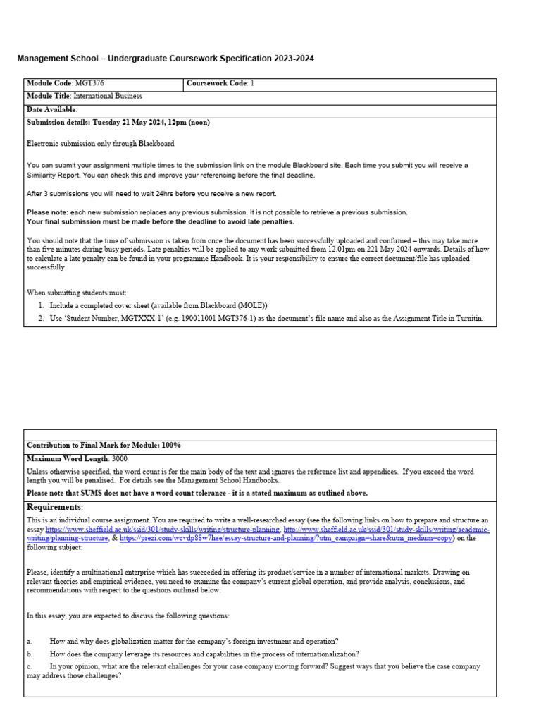 MGT 376 Coursework Specification 2023-2024 | PDF