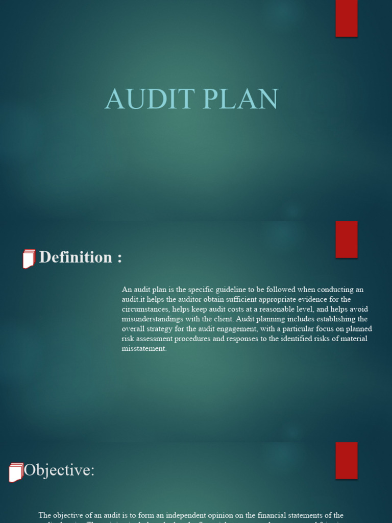 Audit Plan | PDF | Audit | Financial Audit