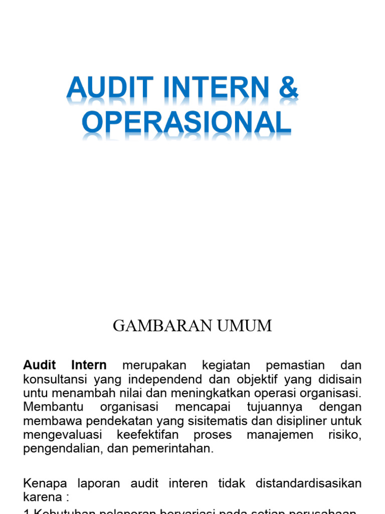 Audit Intern: Panduan dan Perbedaannya | PDF