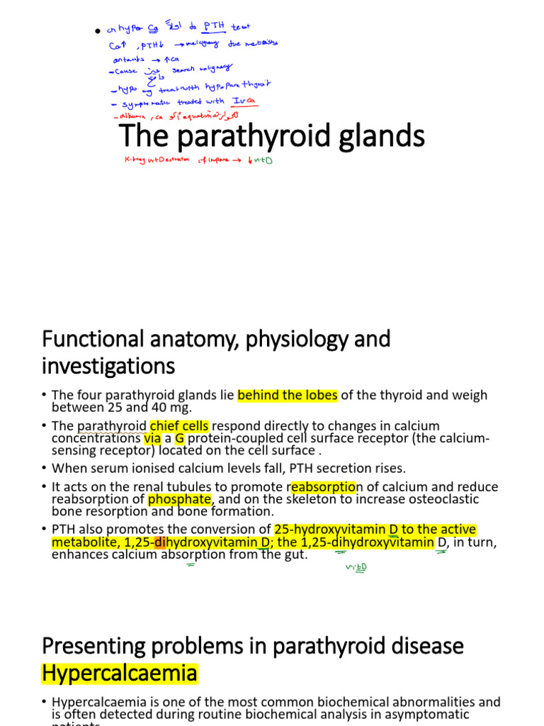 مح٦ بارا | PDF | Parathyroid Gland | Clinical Medicine