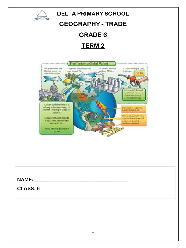 Grade 6 Geography: Trade Concepts | PDF | Chocolate | Cocoa Bean