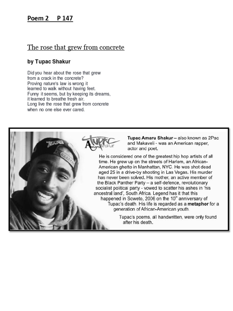 Poem 2 The Rose That Grew From Concrete | PDF