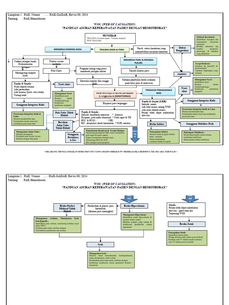 Lampiran - WOC PAK Hemothorax | PDF