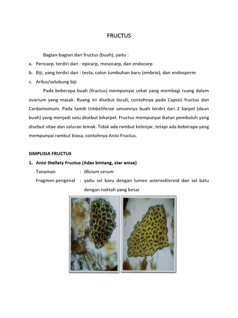 Modul 3-Fructus | PDF | Sains & Matematika