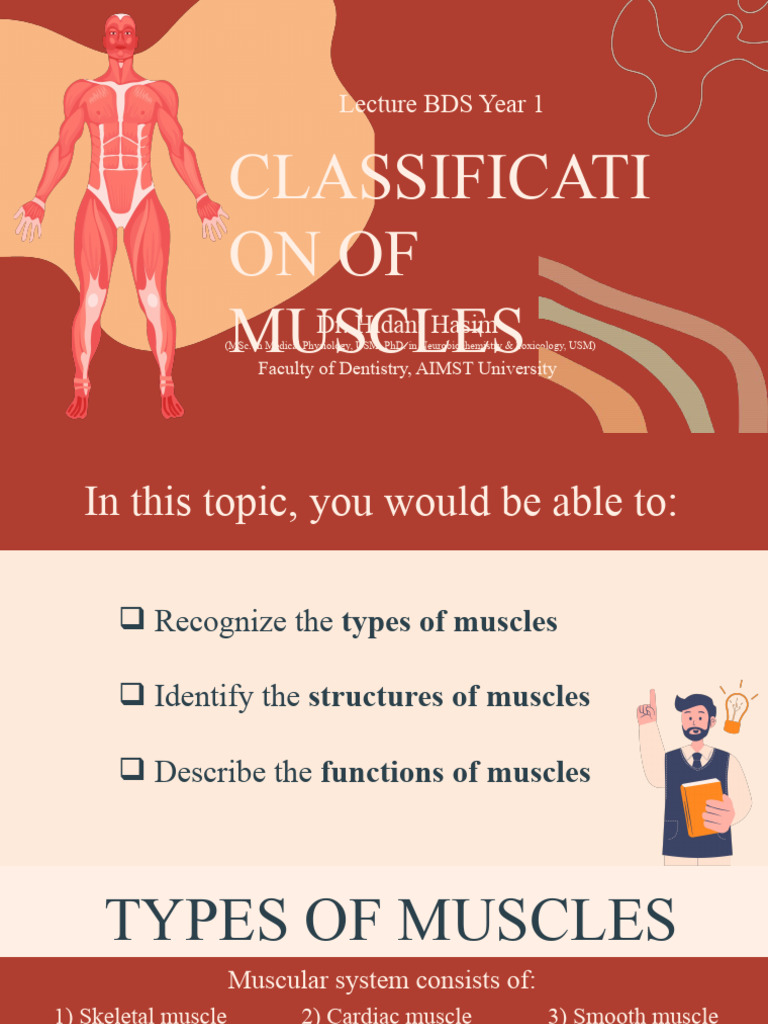 副本 - Classification of muscles | PDF | Muscle | Cardiac Muscle