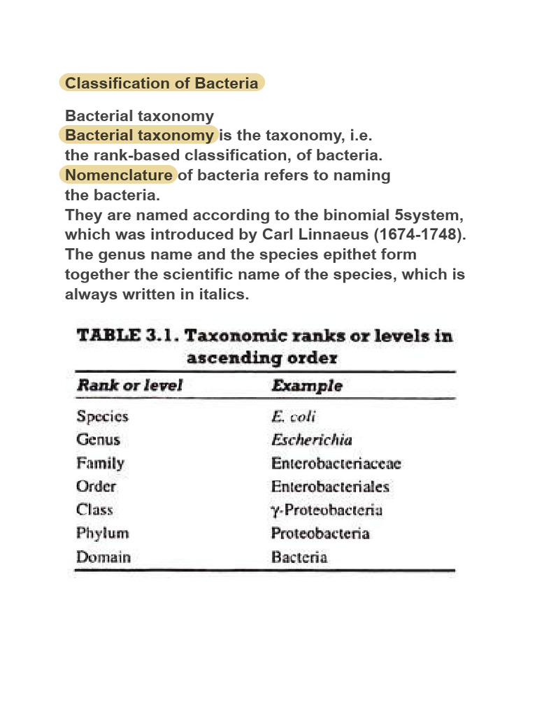 Bacterial Classification | Download Free PDF | Bacteria | Cell (Biology)