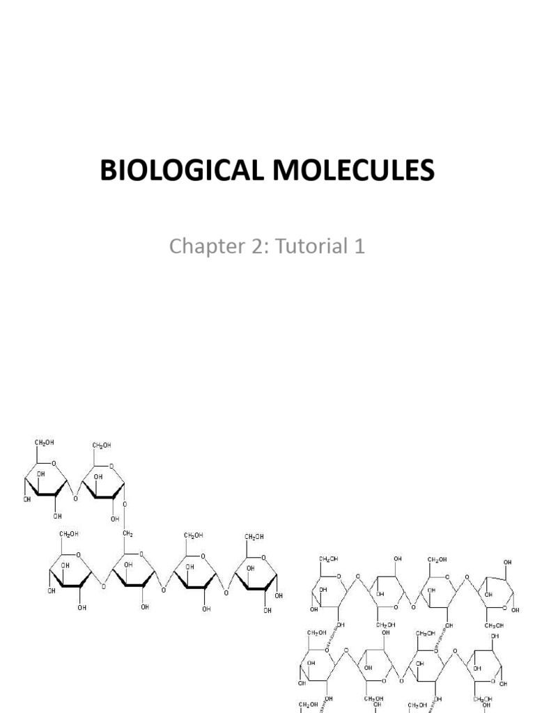 2-Biological Molecules | PDF | Lipid | Water