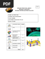 Osmolarity of A Potato Lab | PDF | Osmosis | Physical Sciences