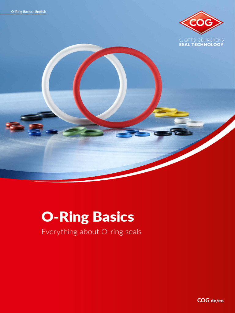 O-Ring 1x1 ENG | Download Free PDF | Extrusion | Materials