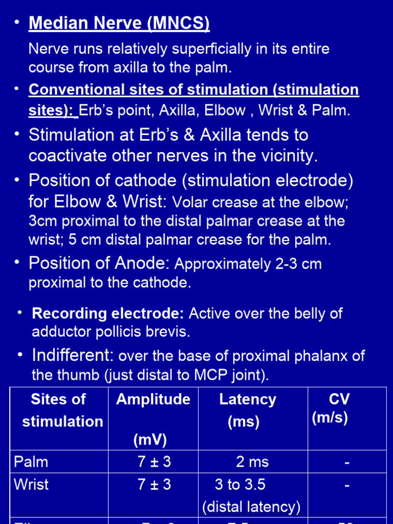 MNCS and SNCS - Values | PDF | Ankle | Anatomical Terms Of Location