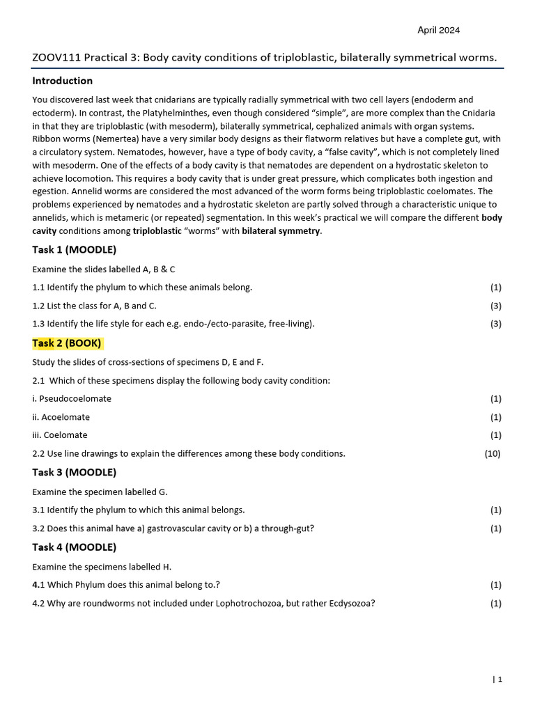 ZOOV111_Prac3_Worms_2024 | PDF | Zoology