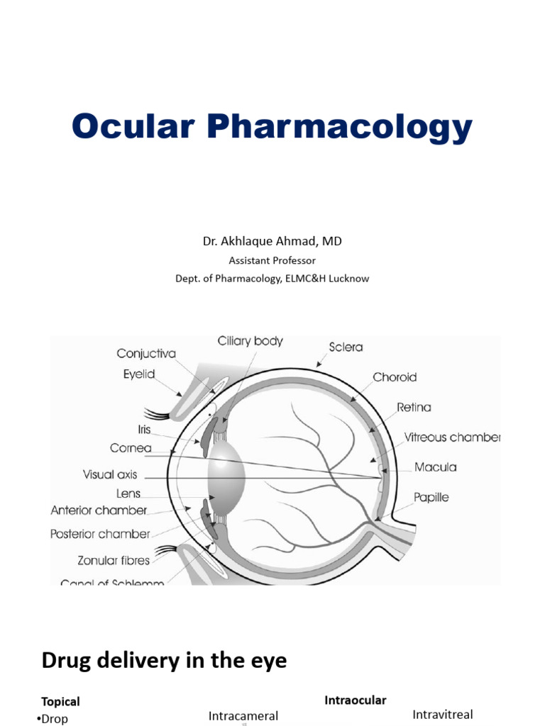 Ocular Pharmacology Pdf Ophthalmology Human Eye