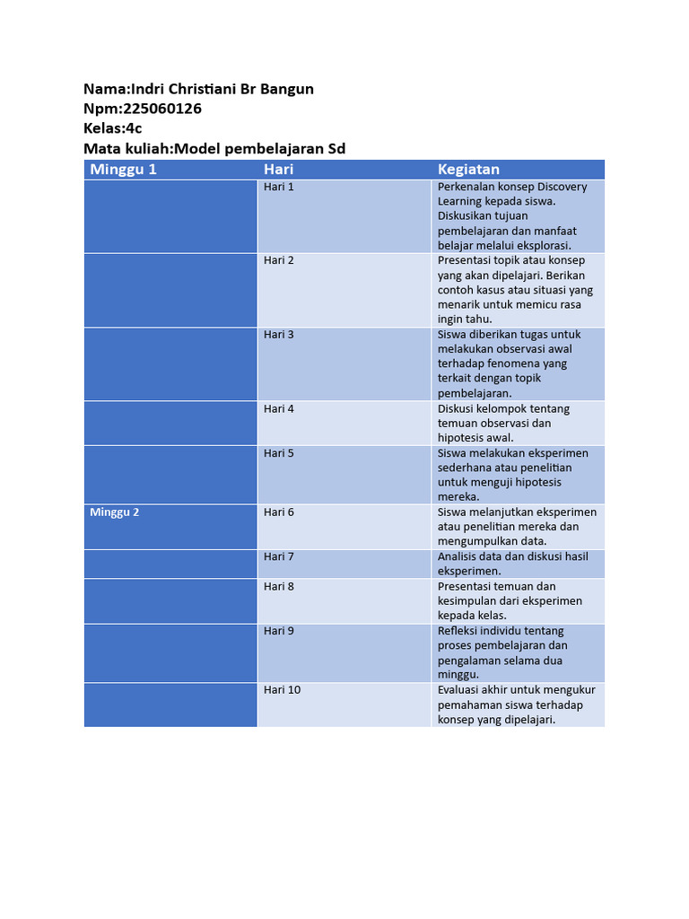 Tugas Model Pembelajaran SD | PDF
