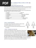 Autopsy of A Dill Pickle Person Lab | PDF | Abdomen | Anatomical Terms ...