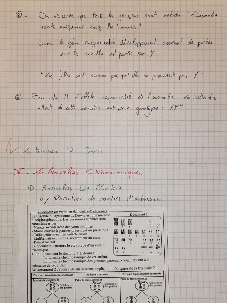 Génétique Humaine | PDF