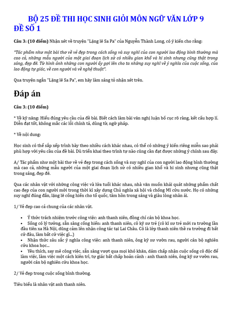 Bo 25 de Thi HSG Mon Ngu Van Lop 9 | PDF