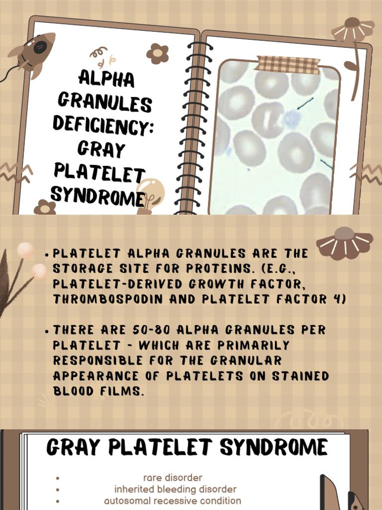 Gray Platelet Syndrome | PDF