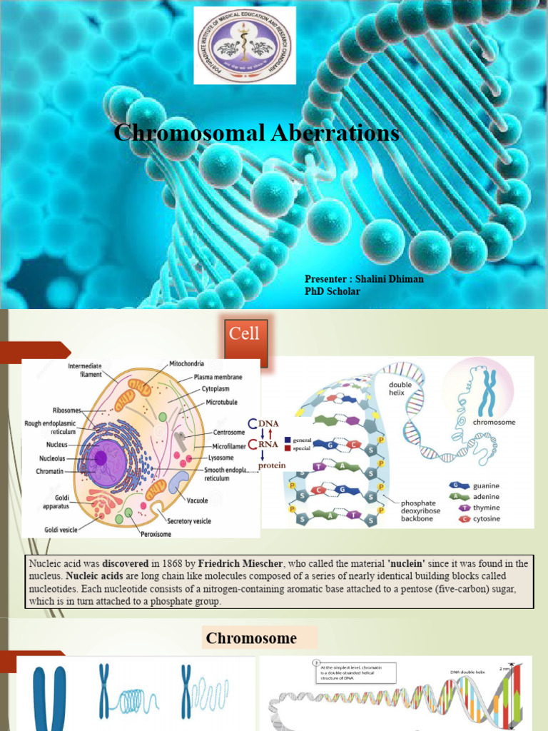 Chromosomal Aberrations 19 4 23 | Download Free PDF | Karyotype | Cytogenetics