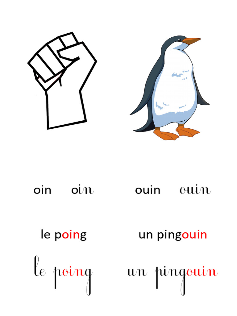 Exercices sur le son "oin" et "ouin" | PDF