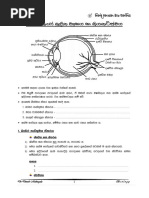 Grade 8 Science Short Notes Enhanced | PDF