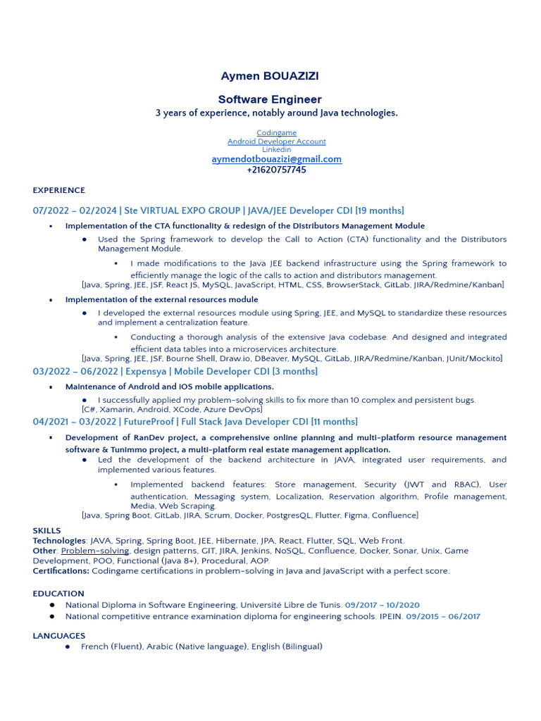 CV English Word | PDF | Cross Platform Software | Java (Programming Language)