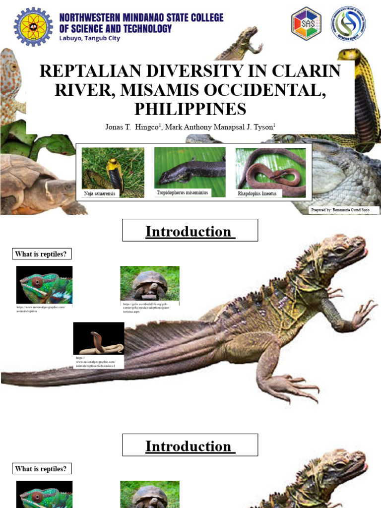 Reptalian-Diversity-In-Clarin-River-Misamis-Occidental-Philippines ... Reptalian-Diversity-In-Clarin-River-Misamis-Occidental-Philippines ...