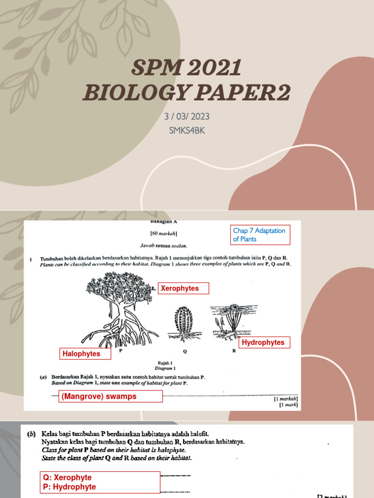 Penskoran SPM 2021 BIO2 P2 | PDF | Heart | Blood