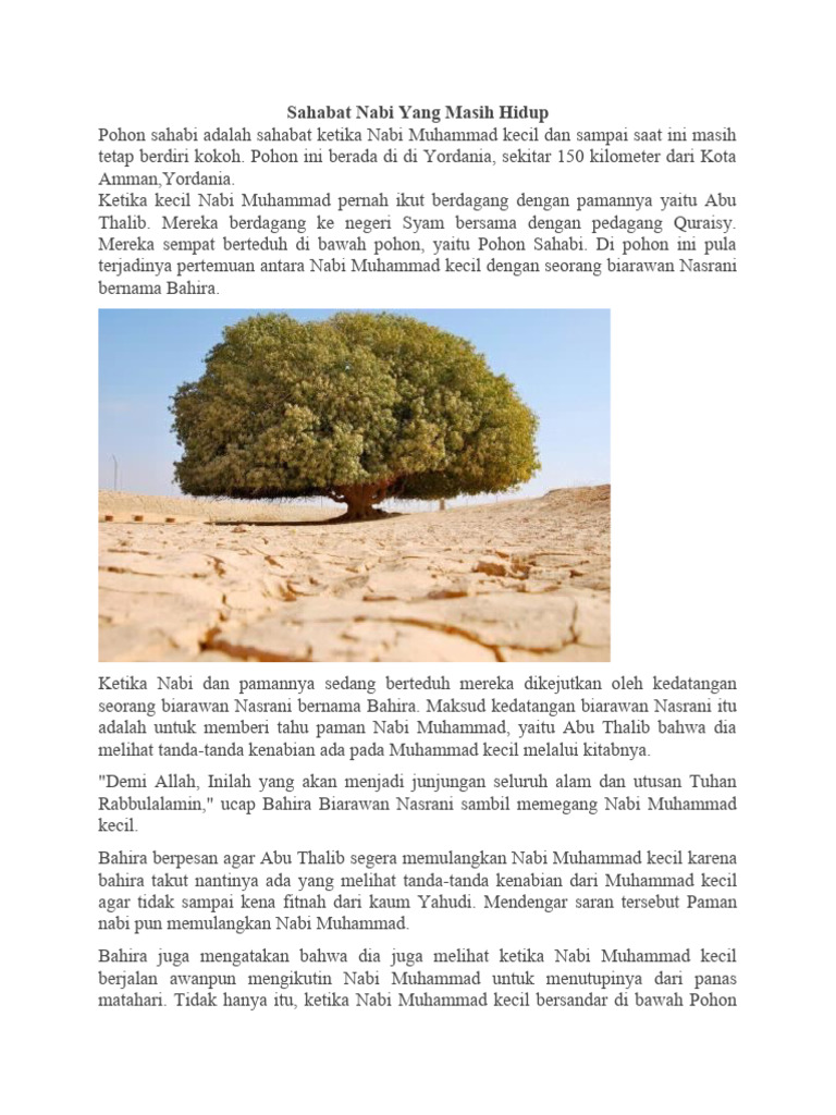 Pohon Sahabi: Saksi Kenabian Nabi Muhammad | PDF