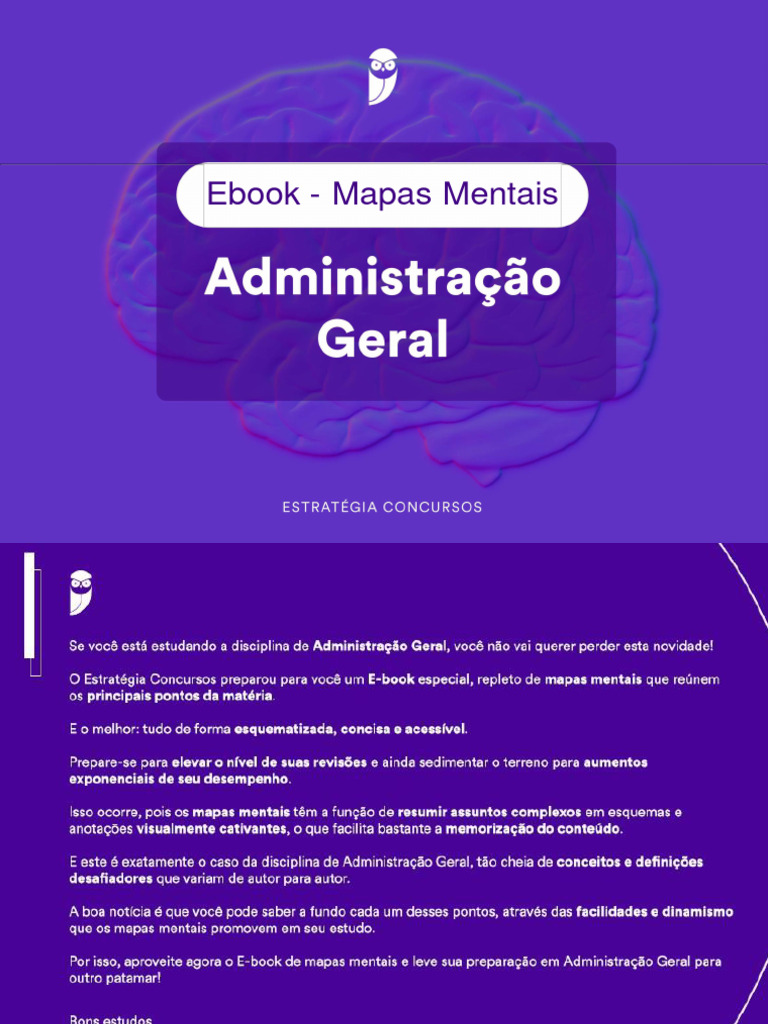Mapas Mentais Administracao Geral EC Atualizado | PDF