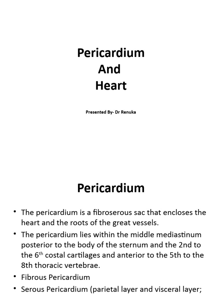 Pericardium and Heart | PDF | Heart | Heart Valve