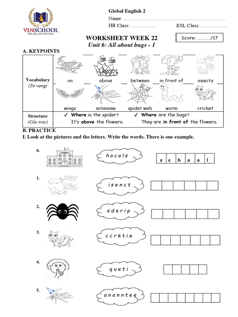 ESL Worksheet: Bugs Vocabulary & Practice | PDF | Coccinellidae | Insects