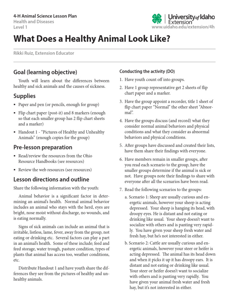 Healthy vs. Sick Animals Guide | PDF | Sheep | Cattle
