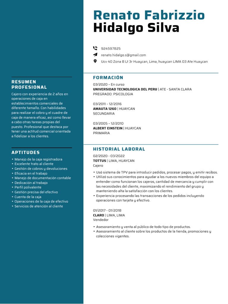 Renato-Fabrizzio Hidalgo-Silva CV 3 | Descargar gratis PDF | Business