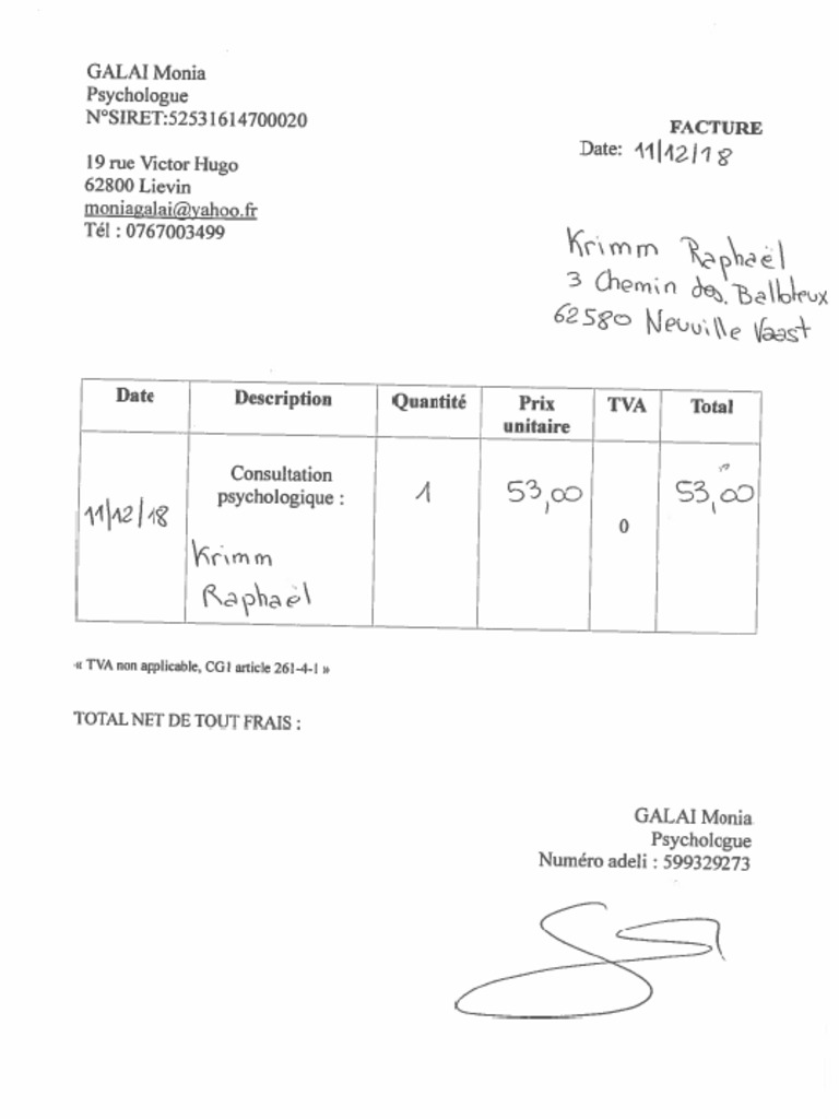 Facture Psychologue Raphael | PDF