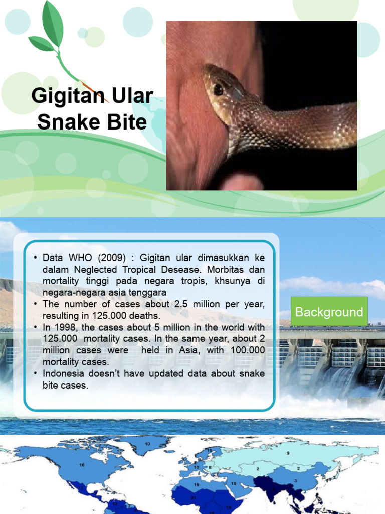 Snake Bite | PDF